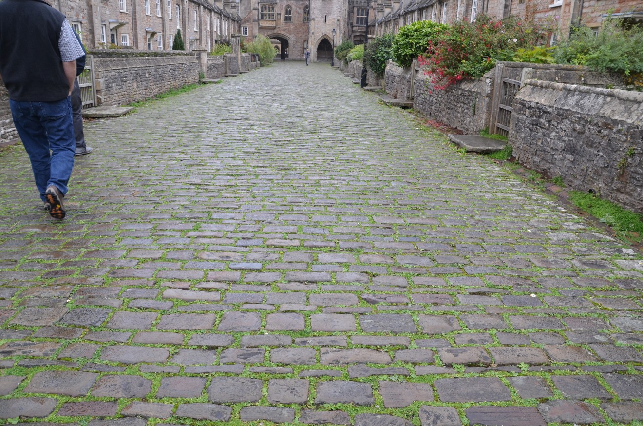 The Vicars Close | The Happy Wonderer ~ ellen b.