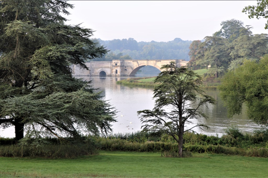 The Harry Potter Tree | The Happy Wonderer ~ ellen b.