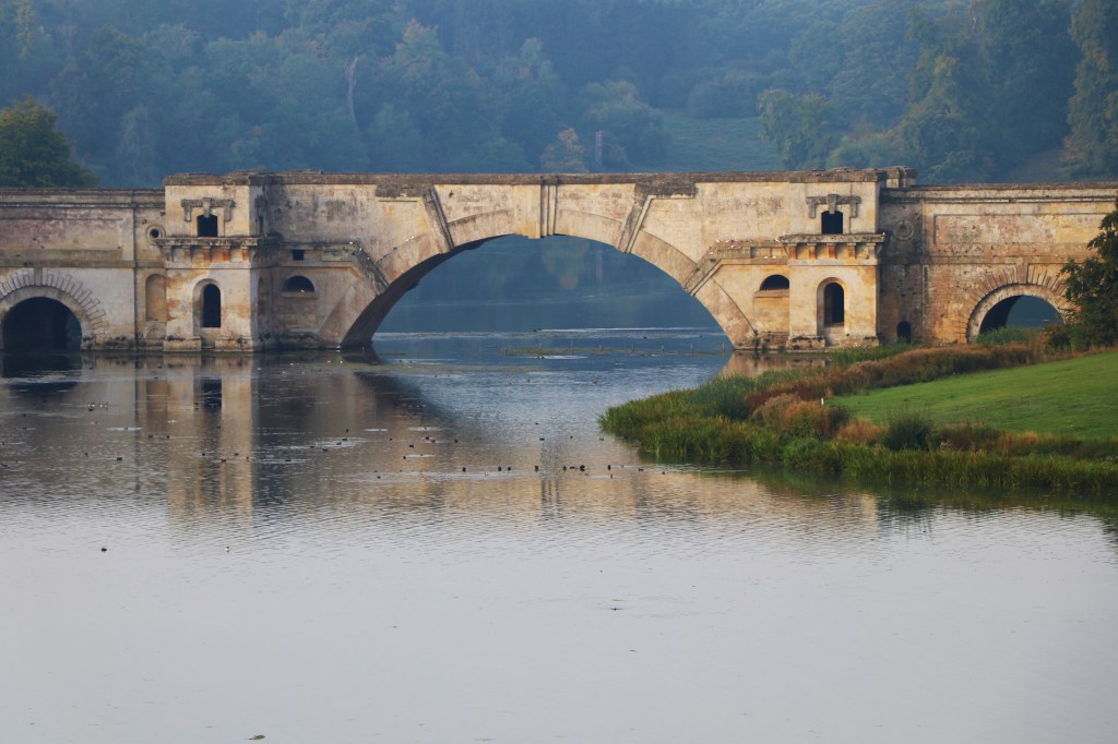 The Harry Potter Tree | The Happy Wonderer ~ ellen b.