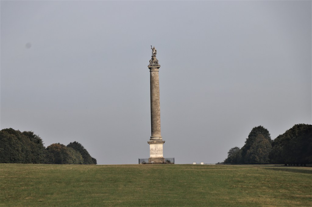 The Harry Potter Tree | The Happy Wonderer ~ ellen b.