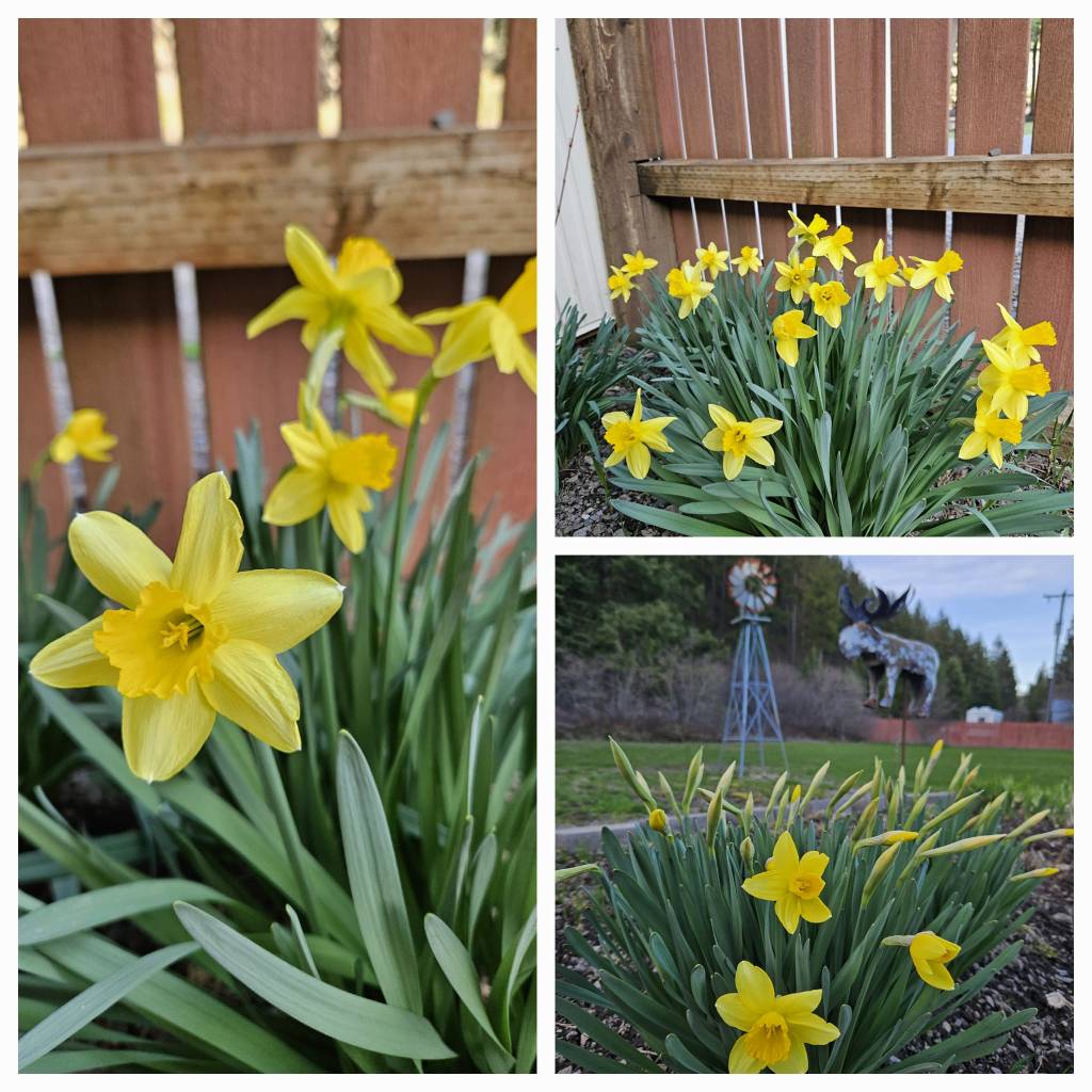 The Happy Wonderer ~ ellen b. | To honor and encourage